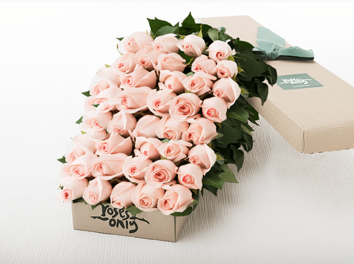 50 Pastel Pink Roses Gift Box | Roses Only HK