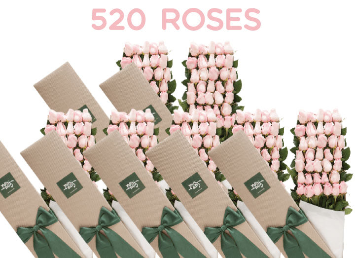 520 Pink Roses Gift Box | Roses Only Hong Kong