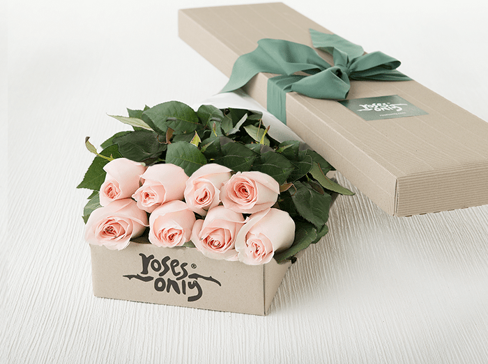 9 Pastel Pink Roses Gift Box | Roses Only HK