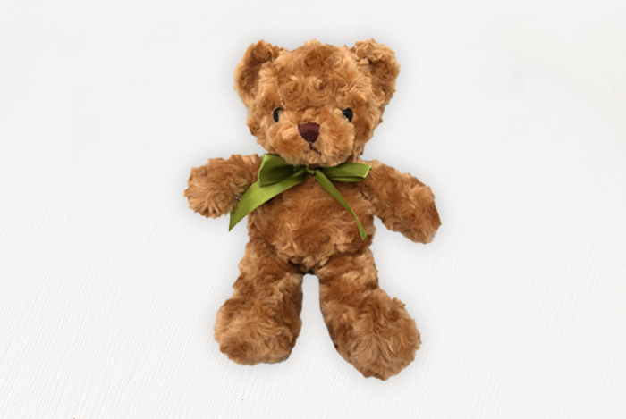 Peter the Teddy